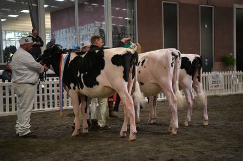 First Class Genetics