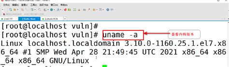 【网络安全】护网系列 权限维持 Linux权限提升and维持 阿里云开发者社区