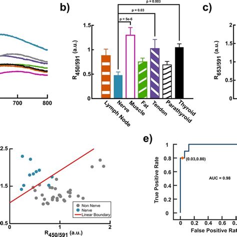 Intraoperative Probe Based Drs For Nerve Detection In Human Subjects Download Scientific