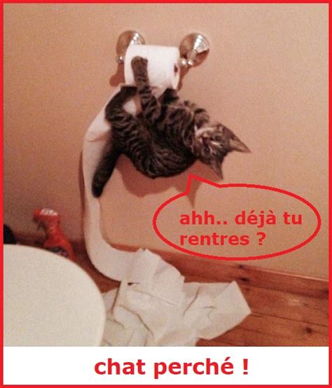Une Image Marrante Ou Insolite Par Jour En Forme Toujours Page 23