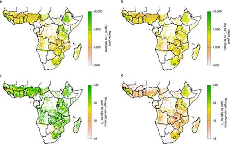 Estimated Maize Yield And Nitrogen Use Efficiency In Ssa A B Maize