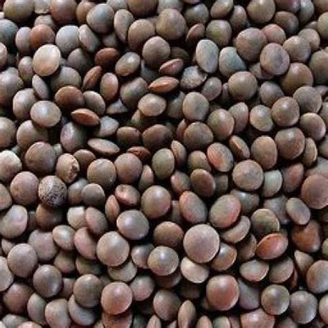 Ramuka Whole Malka Masoor Dal Unpolished At Best Price In New Delhi