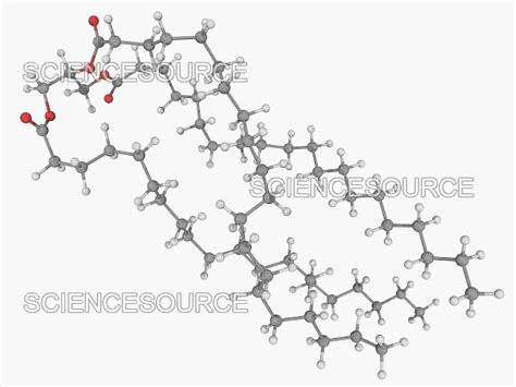Triglyceride Molecule Stock Image Science Source Images