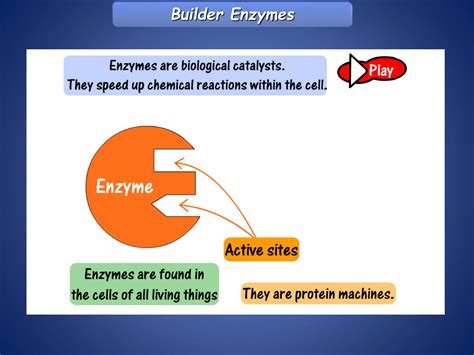 Biological Molecules Powerpoint Summary Ppt