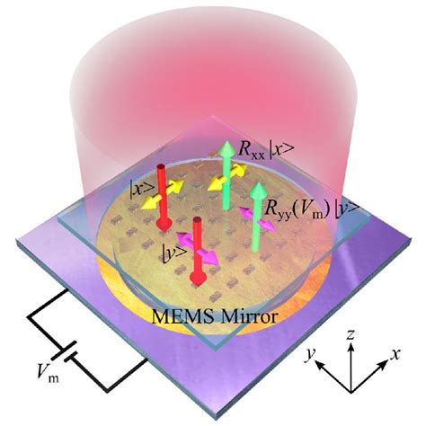 Optica On Linkedin Metasurfaces Opg Optica Polarization Lightscience