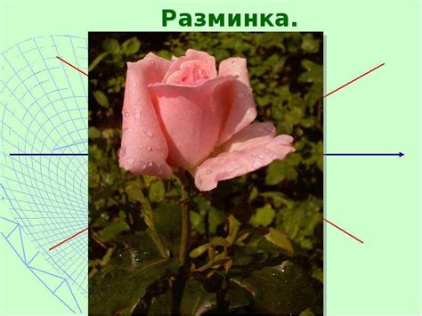 График функции 7 класс презентация доклад проект скачать