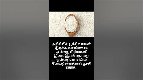 அரிசியில் பூச்சி வராமல் இருக்க Youtube