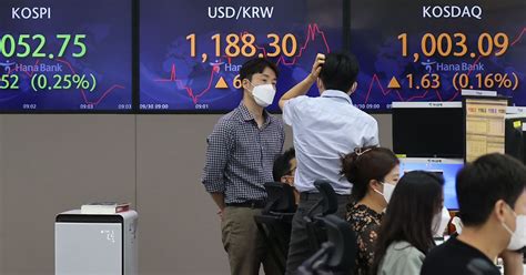 올해 코스피 중소형주 수익률 대형주 앞질러