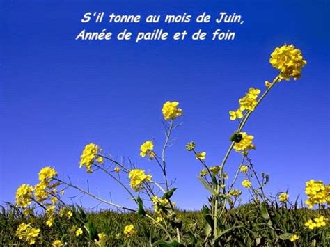 Les dictons du mois de Juin Belle journée