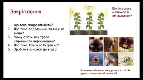 НУШ 6 клас Як організми використовують інформацію з навколишнього