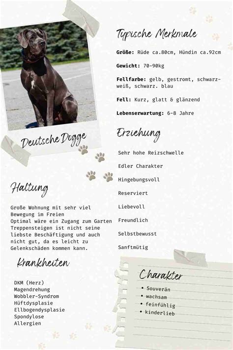 Deutsche Dogge