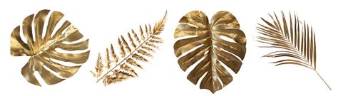 공백 배경에 금색으로 열대 잎 추상 몬스터 리프 장식 디자인클리핑 경로 금 금속에 대한 스톡 사진 및 기타 이미지 금 금속 금색 야자 나무 Arecales