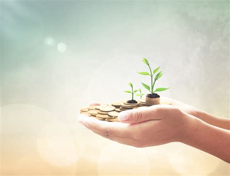 Data Management Program Coordonner Les Initiatives