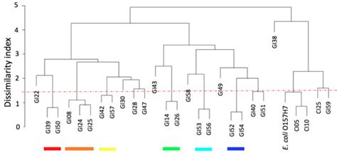 Clustering Of The 24 Genomic Islands 10 Kb In Escherichia Coli O157h7