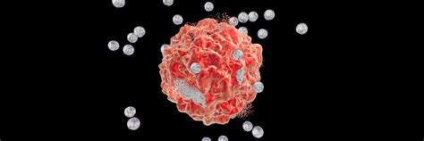 Tumor Targeting Nanoparticles For Enhanced Protac Delivery Revvity