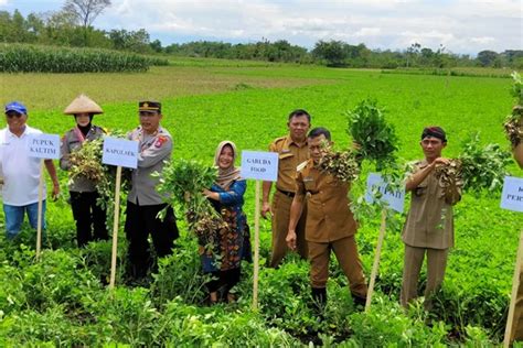 Pupuk Kaltim Edukasi Petani Buat Kompos Tindaklanjut Agrosolution Di