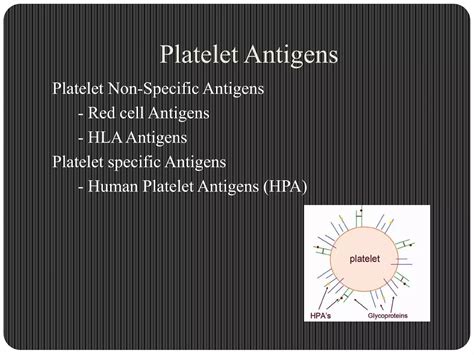 Platelet Immunohematology Pptx