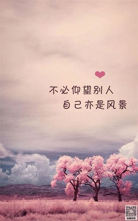 开始自己的程序之旅 知乎