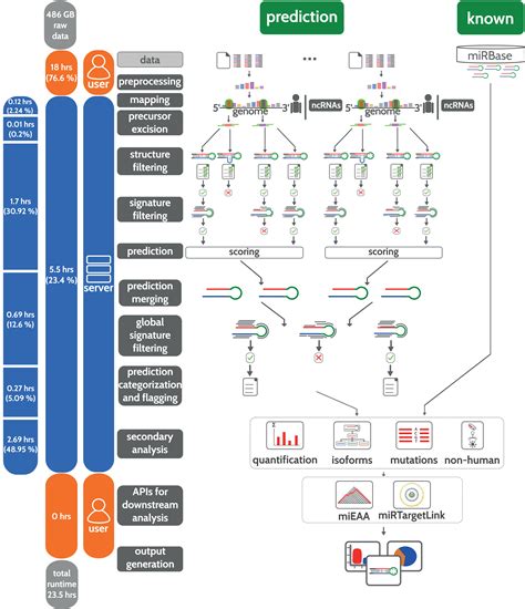 MiRMaster Web Based NGS Data Analysis Of Human MicroRNAs RNA Seq Blog
