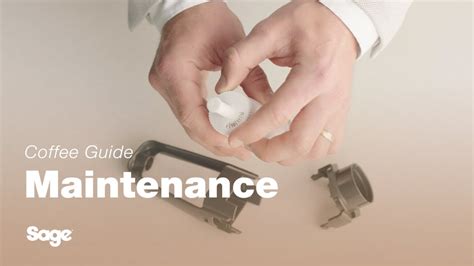 tutorials how to replace the water filter the oracle® sage
