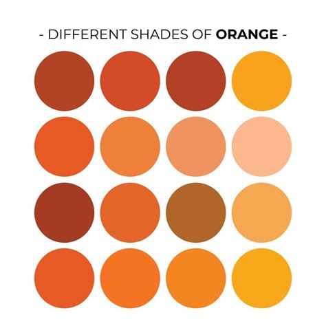 Vector Color Palette Set Design Template