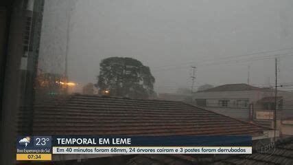 Chuva em Leme derruba mais de 20 árvores em 40 minutos e deixa 14