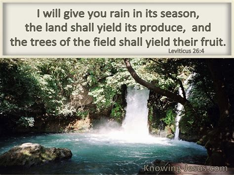 Let It Rain Scripture