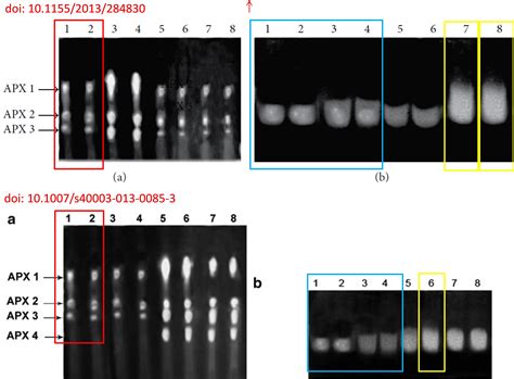 Errors Erratum What Is The Difference Between Falsifying Data And