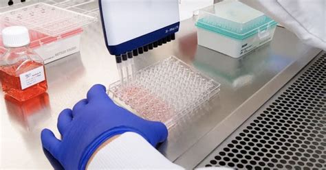 Explaining Pyrogen Testing And Why Its Needed Mat Biotech Mat Biotech