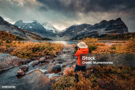 변덕스러운 날에 마곡 호수 옆의 가을 황야에 있는 아시니보인 산에서 카메라로 사진을 찍는 여행 사진작가 남자 사진작가에 대한 스톡 사진 및 기타 이미지 Istock