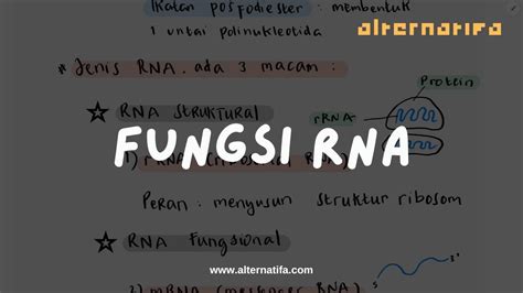 Materi Genetik Fungsi Rna Biologi Alternatifa Youtube