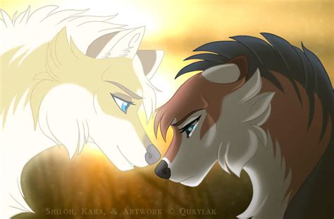 Dotw May Mse For Shiloh Mothers Love By Quaylak On Deviantart