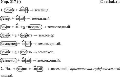 Решено Упр 317 Часть 1 ГДЗ Разумовская Львова 5 класс по русскому языку