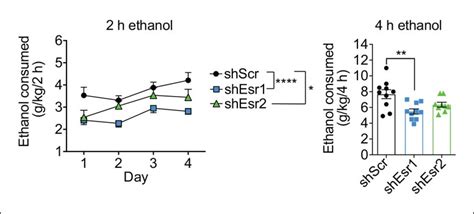 Sex Differences In Alcohol Abuse Fluctuating Estrogen Levels May Make
