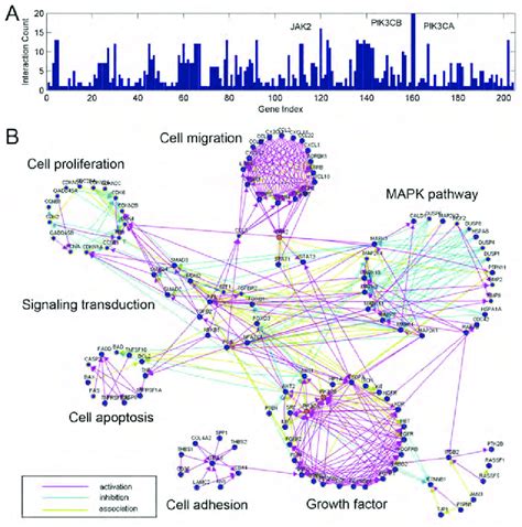 Visualization Of Glioma Related Gene Interaction Network A