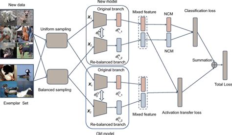 the framework of dual branch classifier for class incremental learning