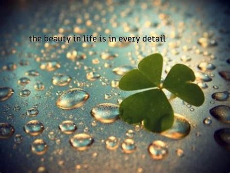 Yolanda Erasmus On Linkedin Remember That Sometimes Not Getting What