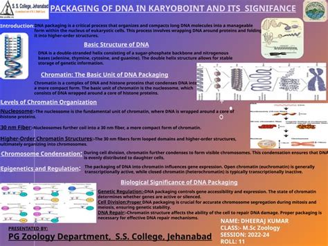 Dna Packaging In Eukaryotes And Prokaryotespptx