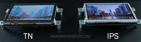 Tn Vs Ips Whats The Difference Newhaven Display