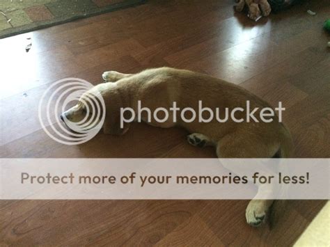 Post Your Ctrlv Literotica Discussion Board