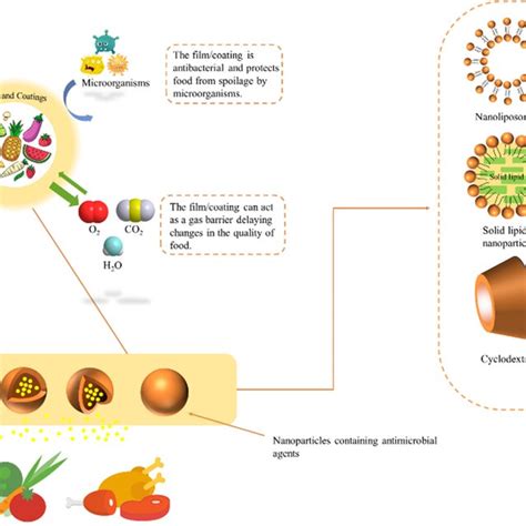 Functional Properties Of Edible Filmscoatings Download Scientific