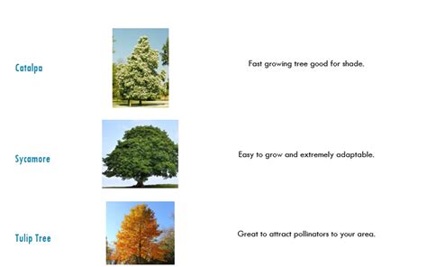 Ask Questions Seek Knowledge From Experts