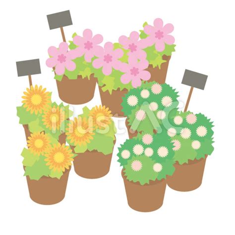お花屋さんイラスト No 276413／無料イラストなら「イラストac」