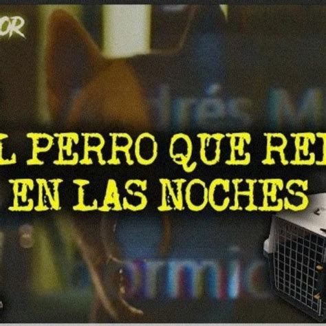 Stream EXPERIENCIAS EXTRAÑAS CON PERROS ACTUANDO COMO HUMANOS Parte from Try Stan Terror