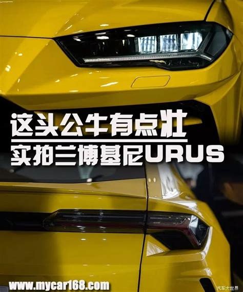 這頭公牛有點壯 蘭博基尼urus靜態實拍 每日頭條