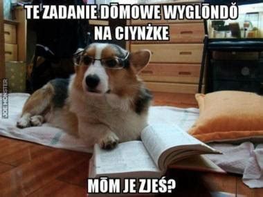 Odpowiedz B brzmi kusząco Joe Monster