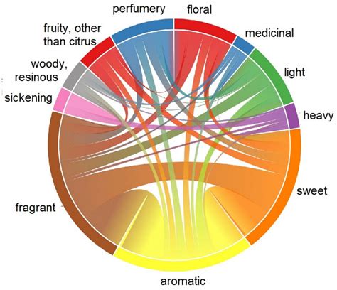 Chord Diagram Displaying The Connections Between The Eleven Descriptors