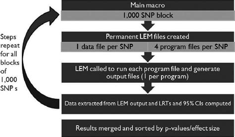 Summary Of Mi Gwas Platform Structure Displaying Steps Preformed On Download Scientific