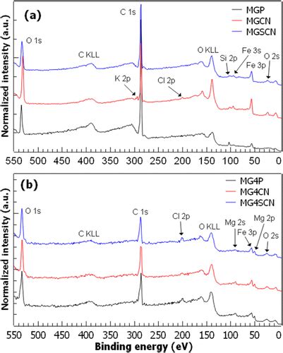 Influence Of Cyanide And Thiocyanate On The Formation Of Magnetite Synthesized Under Prebiotic