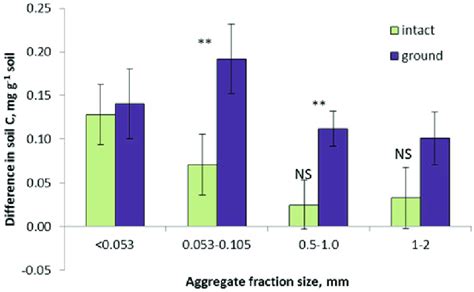 Differences Between C Levels In The Soil Layers Adjacent To The Corn Download Scientific
